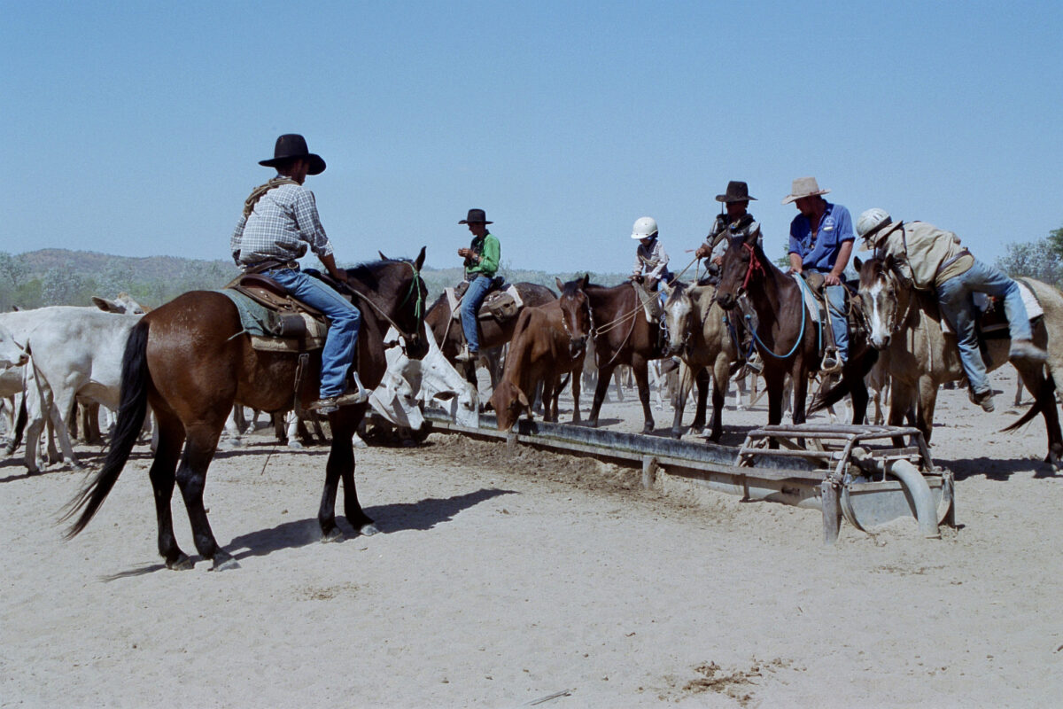 Working on an Australian Cattle Station - Kent Saddlery