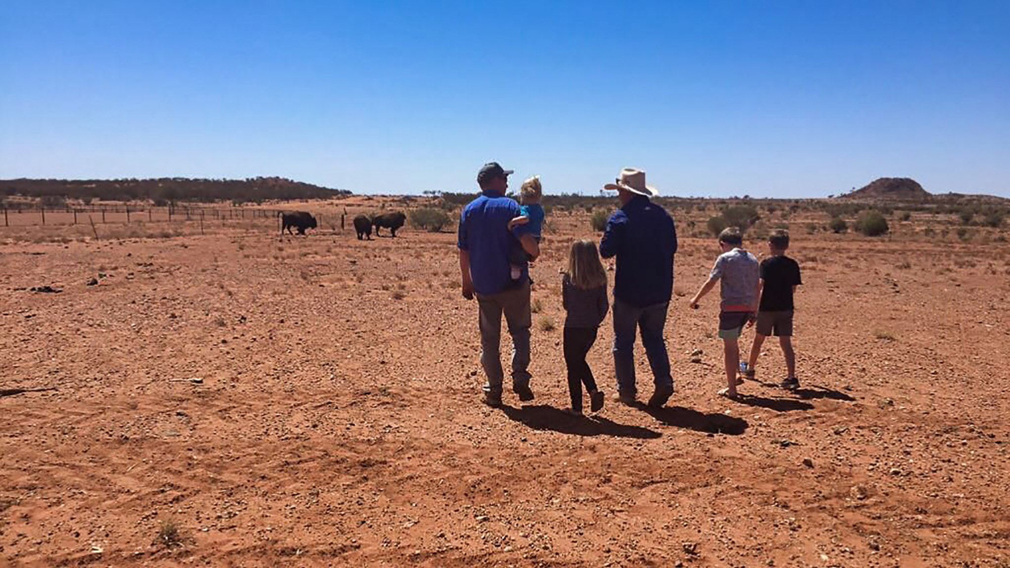 Ted Fogarty and his bison at Palmer Valley Station, NT - Kent Saddlery