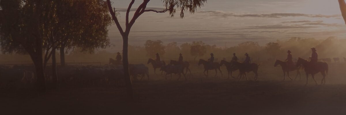 RFTTE - Kent Saddlery