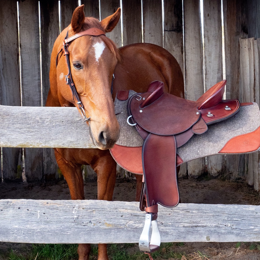 Home - Kent Saddlery
